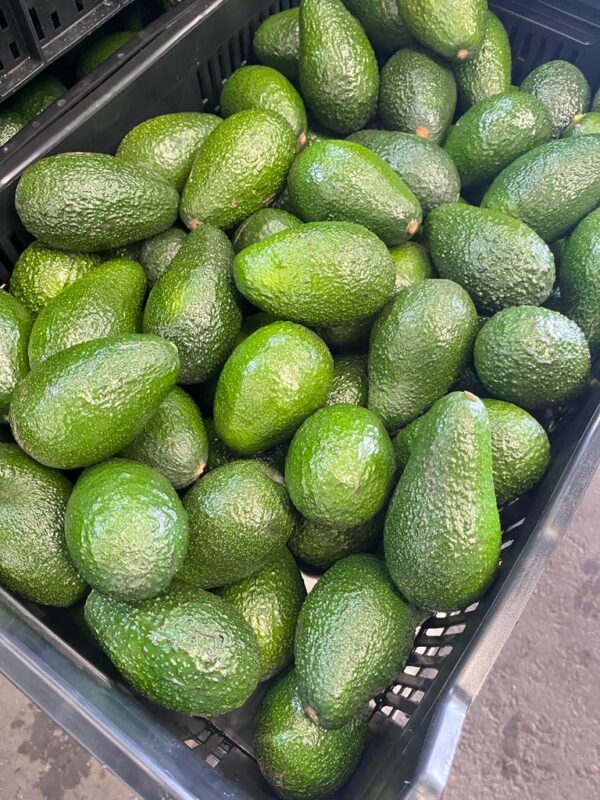 VENTA DE PALTA - Doña Verito