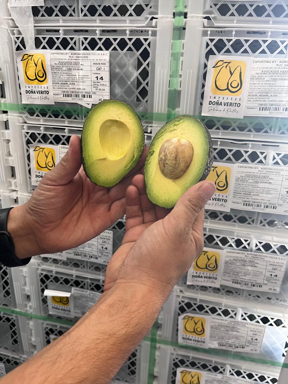 VENTA DE PALTA - Doña Verito
